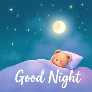 30+ Cute Images Of Good Night To Share